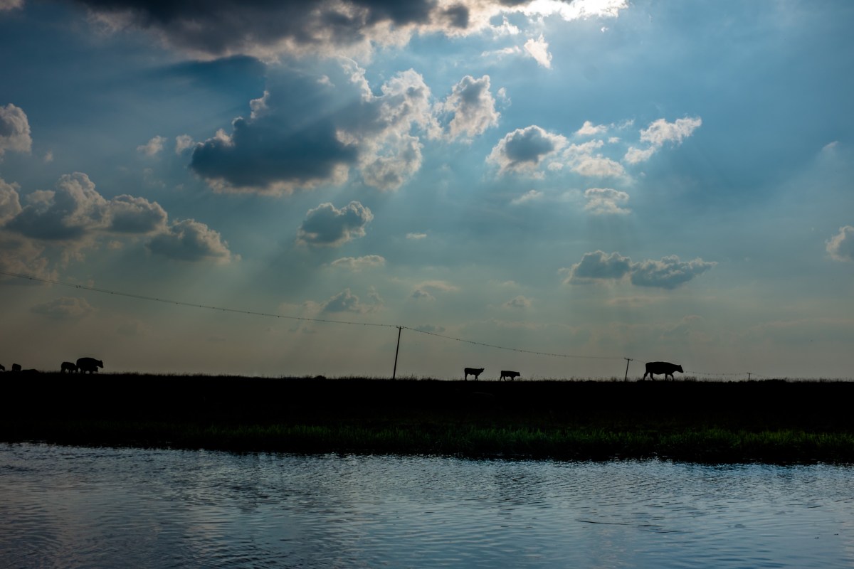 Exploring the River at Eske – Loudhailer Music